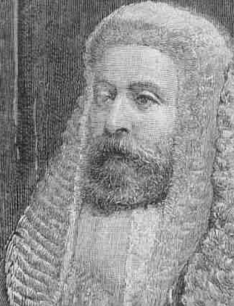 ‘Our Judges:’ Critiquing 24 Sitting Irish Judges, 1889-90 – Stories of ...